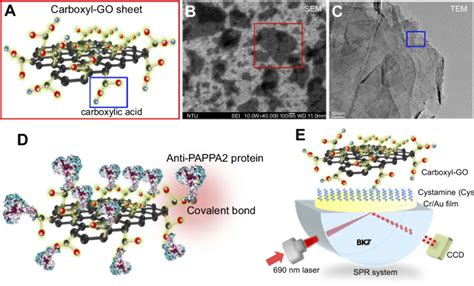 Chemical Modification Of Graphene Like 2d Biosensing Materials A