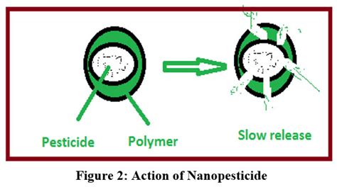 Synthesis Characterization And Bioassay Of Nanocartaphydrochloride An