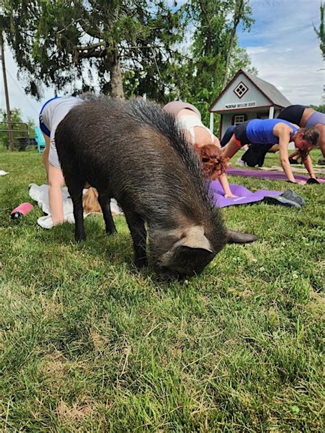 Spring Into Spring Classes And Workshops In Pittsburgh Table Magazine