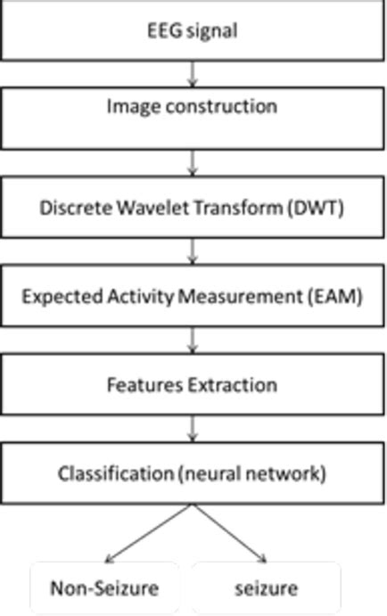 Diagram Of Features Extraction And Classification Download Scientific Diagram
