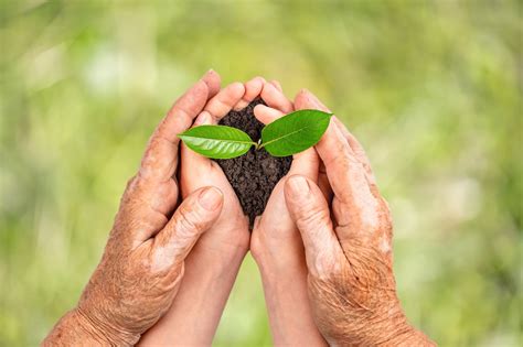 The Rise Of The Global Middle Class An Interview With Homi Kharas