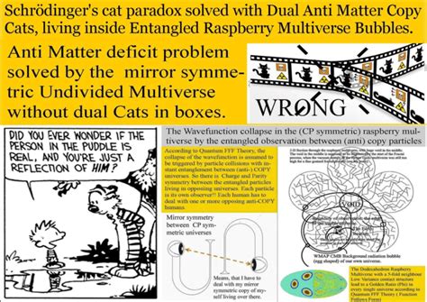 quantum function follows form q fff theory an entangled mirror