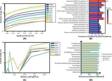Enzyme Saturation Example At Rebecca Skinner Blog