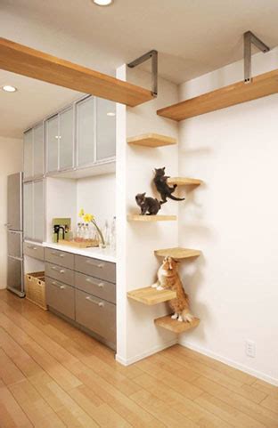 Reino De Morango ♥ Escadas Para Gatos