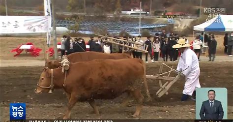 ‘소 겨리 아시나요산골 농경문화 보존 안간힘
