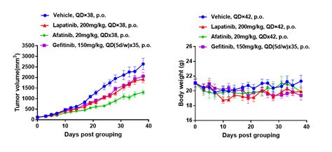Small Molecule Biocytogen