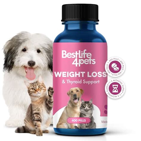 10 Best Thyroid Supplement For Dogs 2025