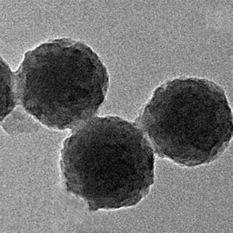 High Purity Mesoporous Polydopamine Nanoparticles For Drug Delivery And