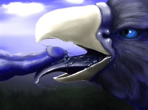 Rule 34 Avian Beak Beakjob Fellatio Gryphon Male Meandraco Oral Oral Sex Penis Sex 570113