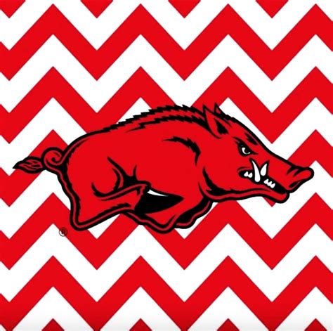Arkansas Razorbacks Facts At Charlott Leff Blog