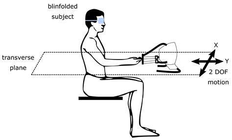 Active And Passive Haptic Perception Of Shape Passive Haptics Can