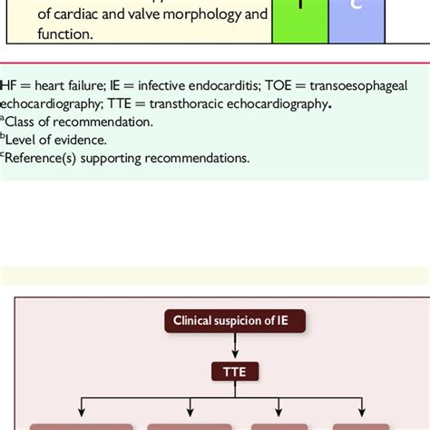 Antibiotic Treatment Of Infective Endocarditis Due To Enterococcus Spp Download Table