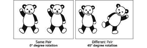 Sample Stimulus Material For Mental Rotation Task Used By Kloo And