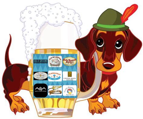 Solid Ground Brewing Diamond Springs Ca