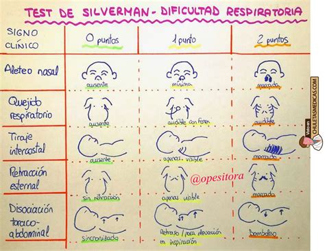 Score De Silverman Pdf Test De Silverman Andersen Myjus