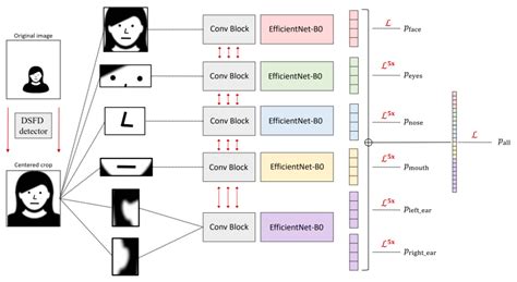 Efficientnet In Deepfake Detection — Antispoofing Wiki