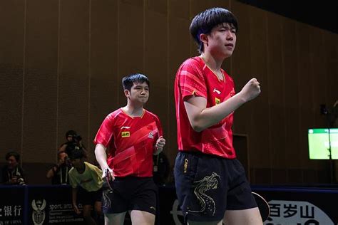 樊振东王楚钦vs法国两兄弟险胜 优出圈