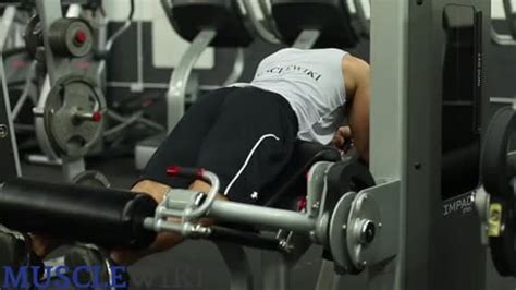 Hamstring Übungen Komplette Trainingsanleitung Musclewiki
