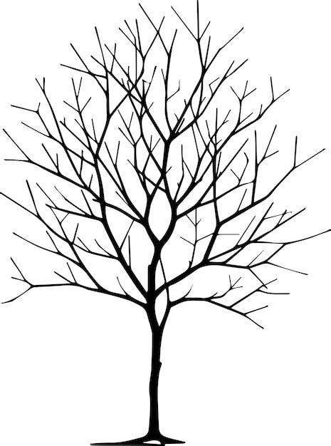 Silueta de árbol desnudo silueta vectorial mínima silueta de color negro silueta de fondo blanco