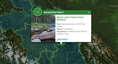 Popups Mapster Wp Maps