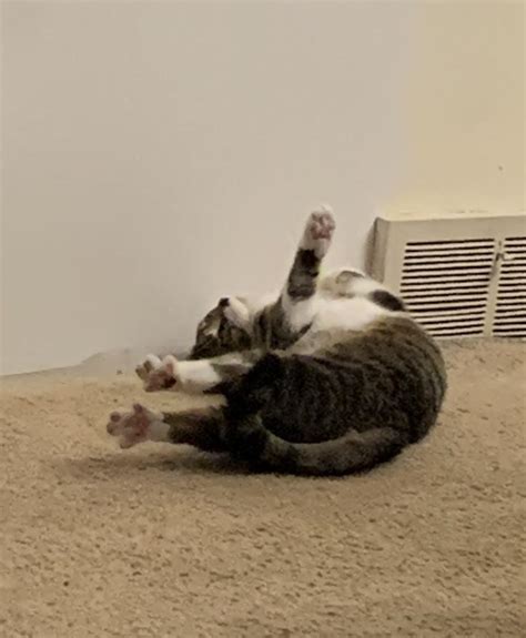 Best Dabloon Posts Reddit