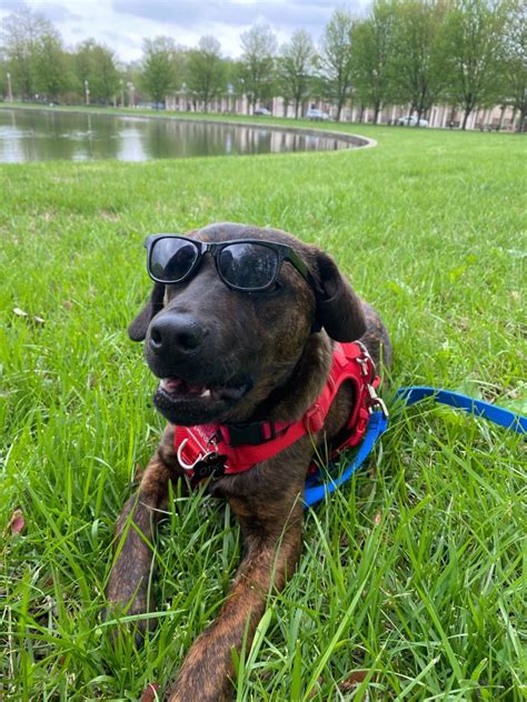 Lab Members Samantha Morris Lab