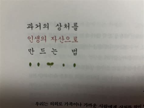법륜스님의 행복 9 과거의 상처를 인생의 자산으로 만드는 법 법륜