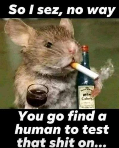 Lab Rats Memes Giant Rat Cartoons And Comics Funny Pictures From