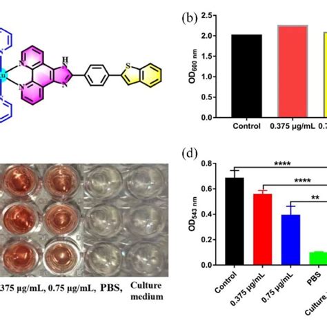The Effect Of Ruii 3 A On The Hemolysin Toxin Secretion Of S Download Scientific Diagram