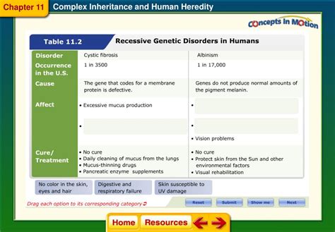Ppt Section 1 Basic Patterns Of Human Inheritance Powerpoint