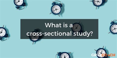 What Is A Cross Sectional Study A Simple Definition Grad Coach