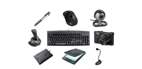 basic computer skills quiz test and improve your digital literacy
