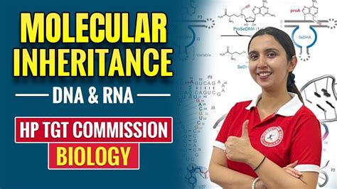 Hp Tgt Commission Biology Molecular Inheritance Dna And Rna With