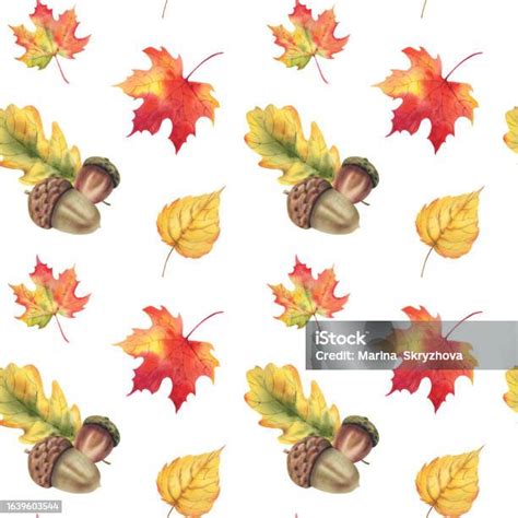 단풍잎과 도토리의 매끄러운 패턴 수채화 그림입니다 가을 작곡 추수 감사절 할로윈 취명아주에 대한 스톡 벡터 아트 및 기타 이미지 취명아주 노랑 0명 Istock