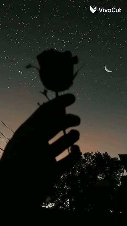 يارب ارزق متابعيني وا ارزقني وا اشرح لي صدري😘 Youtube