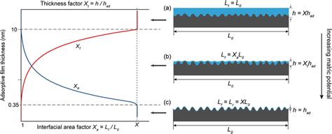 The Functional Relationship Between The Surface Roughness Factor X