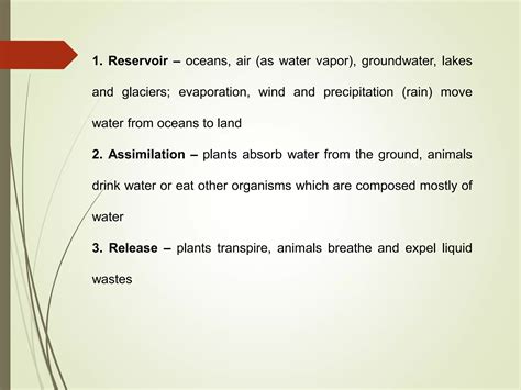 Lecture 5 0ppt Functions Of Ecosystem Pdf
