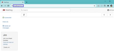 Mailhog How To Use It To Test Emails Locally