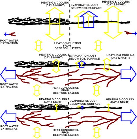 Three Distinct Environments Within Moist Seasonal Tropical Forests