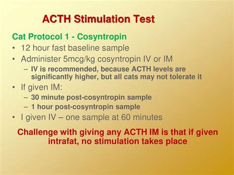 What Is A Acth Stimulation Test For Dogs