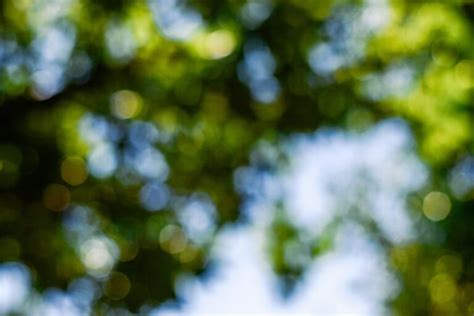 Collecting And Reporting Data About Sex And Gender Identity In Official