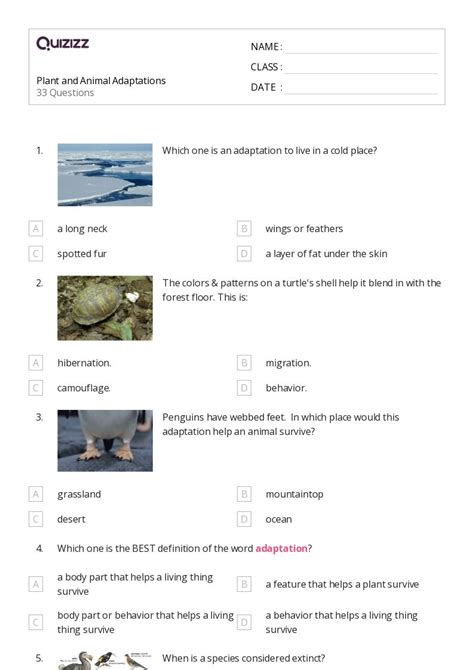50 Natural Selection And Adaptations Worksheets For 3rd Grade On