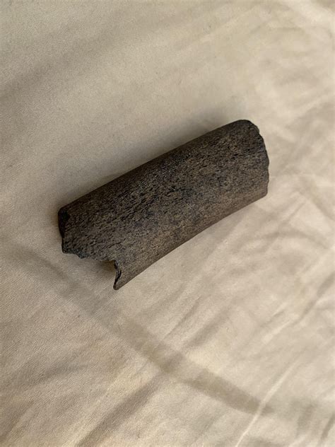 Help Identifying Fossil Rfossils