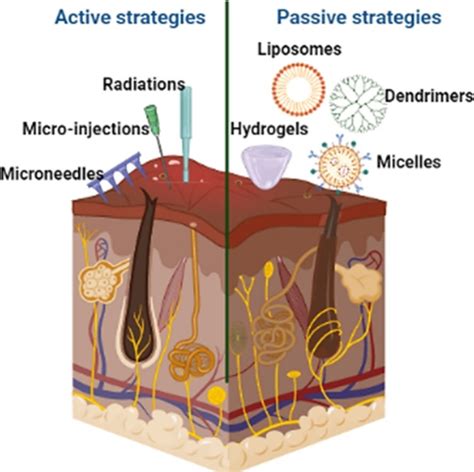 Organogel Transdermal Formulation Development Cd Formulation