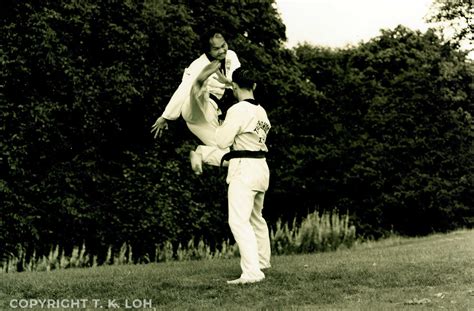 Turning Kick And Jumping Turning Kick — Traditional Taekwondo Association