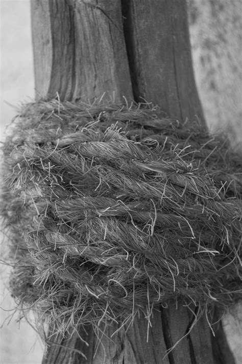 300000 Free Woman Tied Up And Woman Images Pixabay