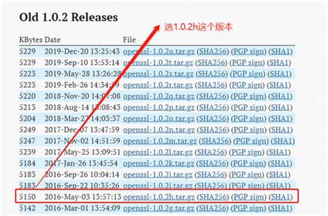 交叉编译ffmpeg5 0，并支持librtmp ffmpeg 5编译 csdn博客