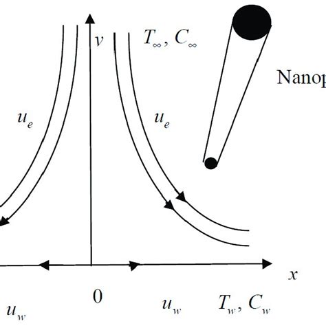 Physical Model Of The Flow Download Scientific Diagram