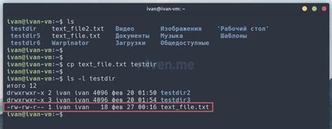 Командная строка linux работа с файлами команды touch mkdir cp mv