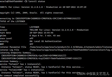 全网最全的linux上docker安装oracle的详细文档遇到了n个问题查了几十篇文章最终汇总版再有解决不了的 私聊我我帮你解决 假装文艺范儿 博客园